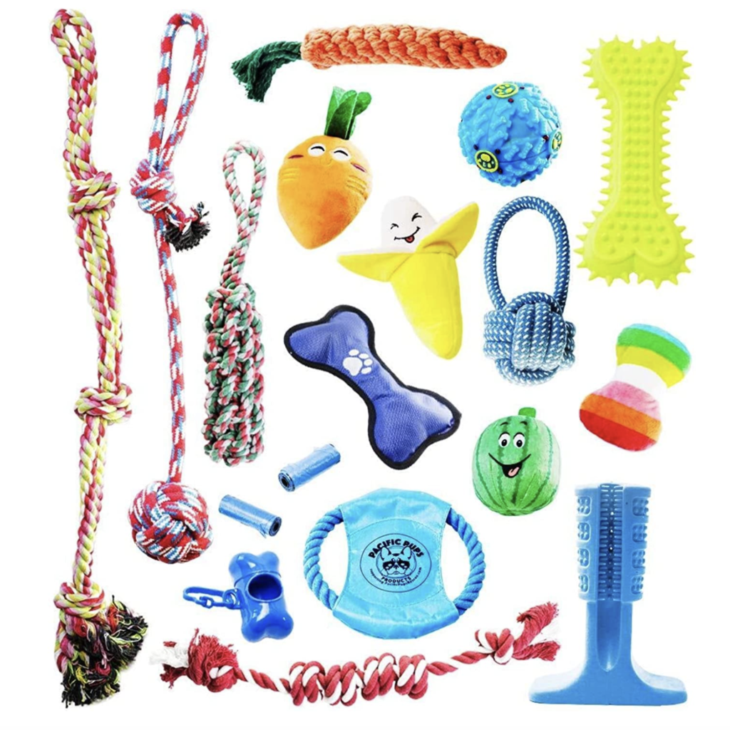 Why It’s Important To Give Your Dog New Toys • Ask Bronna